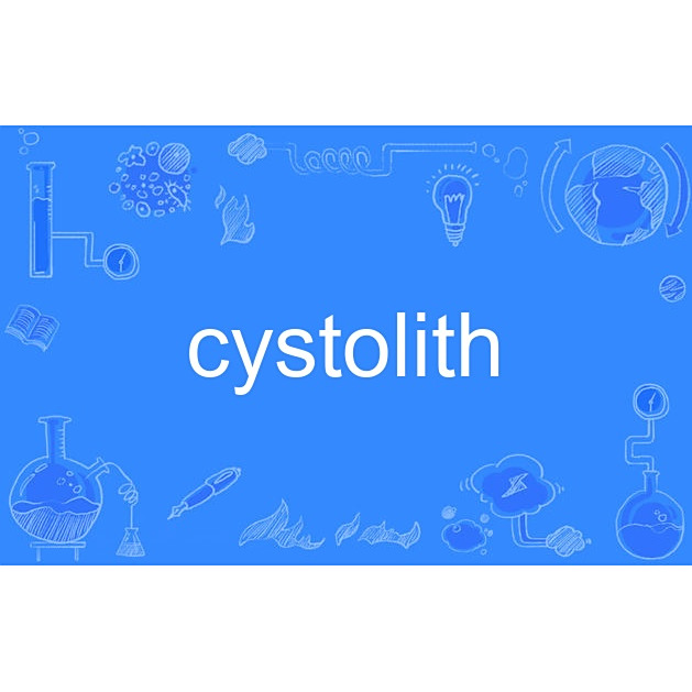 cystolith_百度百科