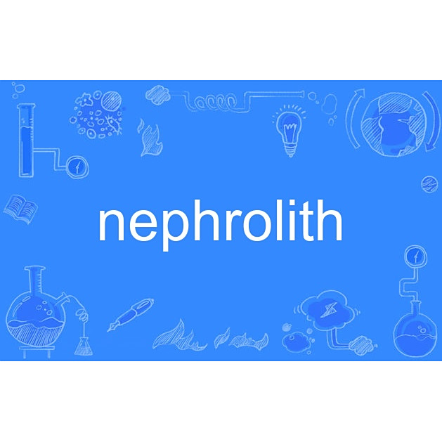 nephrolith_百度百科