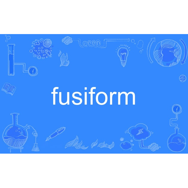 fusiform（英语单词）_百度百科
