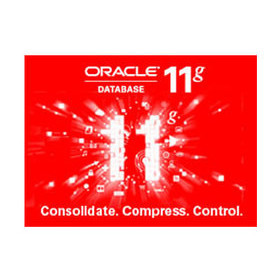 Oracle 11g 简化版_百度百科