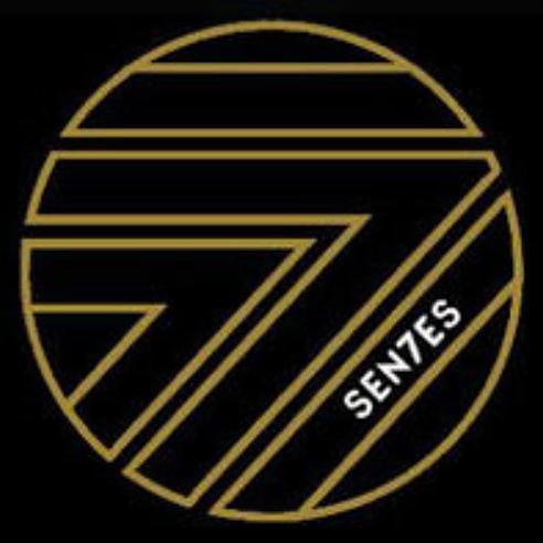 7SENSES（中国内地女子演唱组合）_百度百科