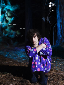 gotye_百度百科
