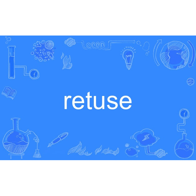 retuse_百度百科