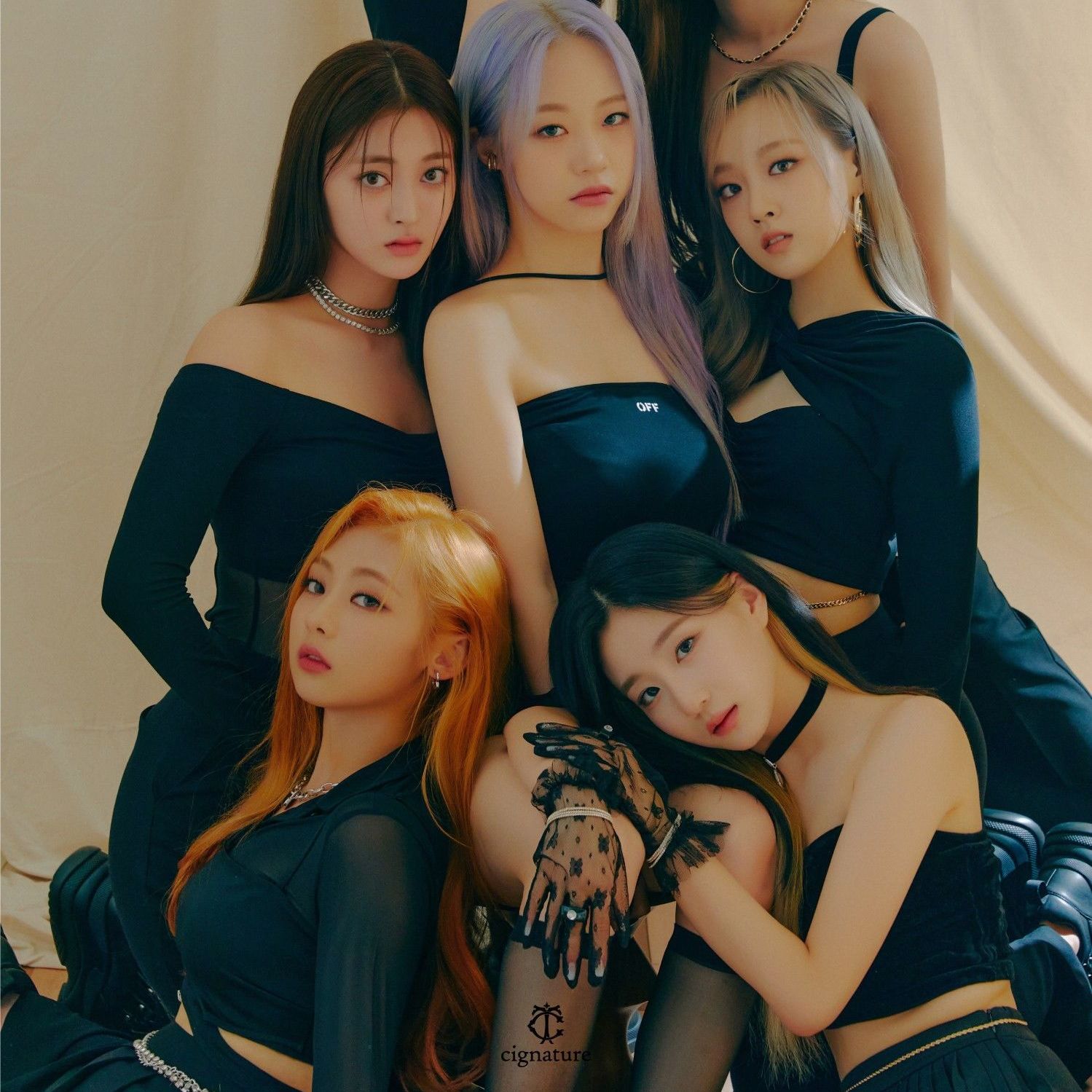 Cignature_百度百科