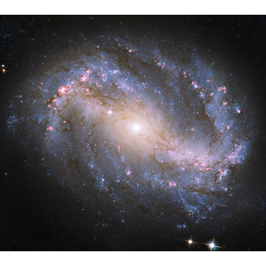 NGC 6217_百度百科