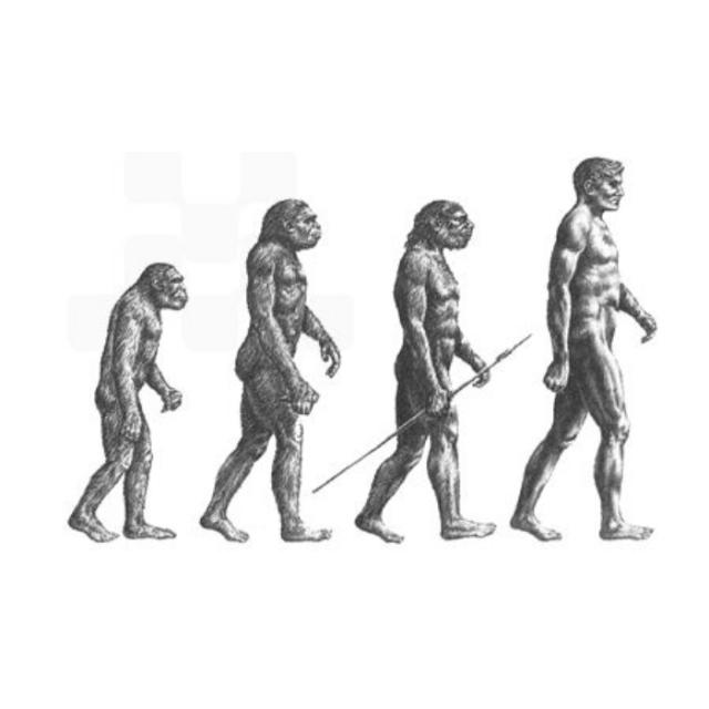 現代綜合進化理論_百度百科