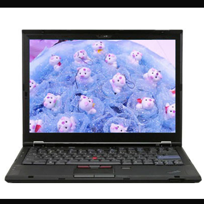 ThinkPad X300(6477HD1)_百度百科