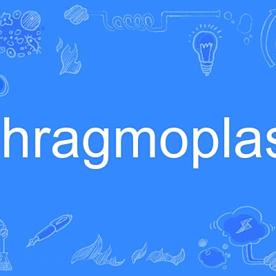 phragmoplast_百度百科