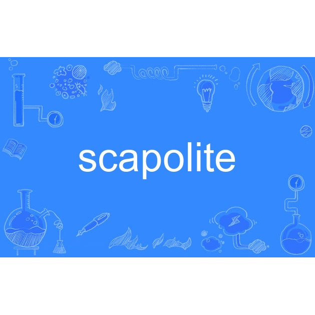 scapolite（英语单词）_百度百科