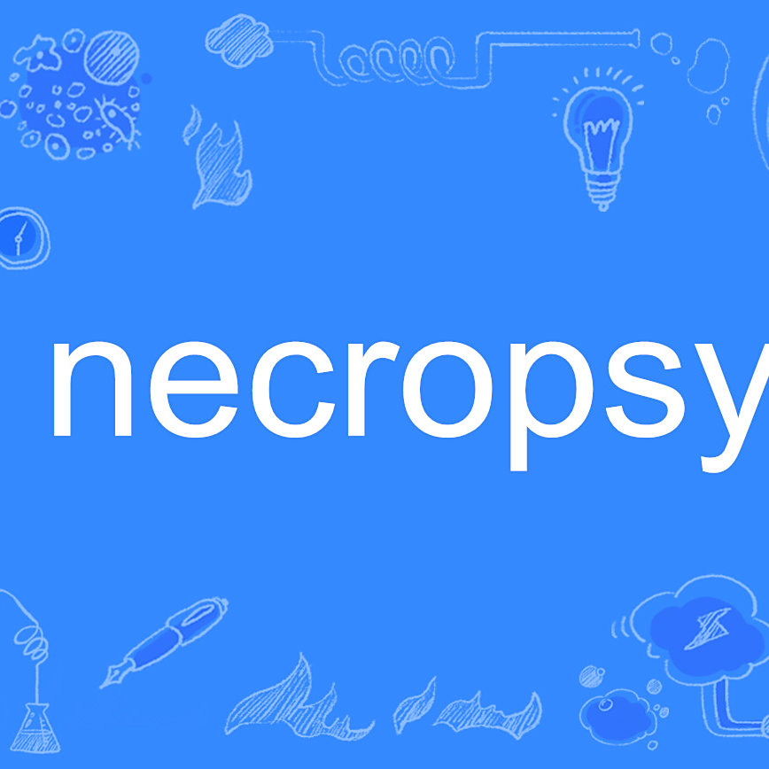 necropsy_百度百科