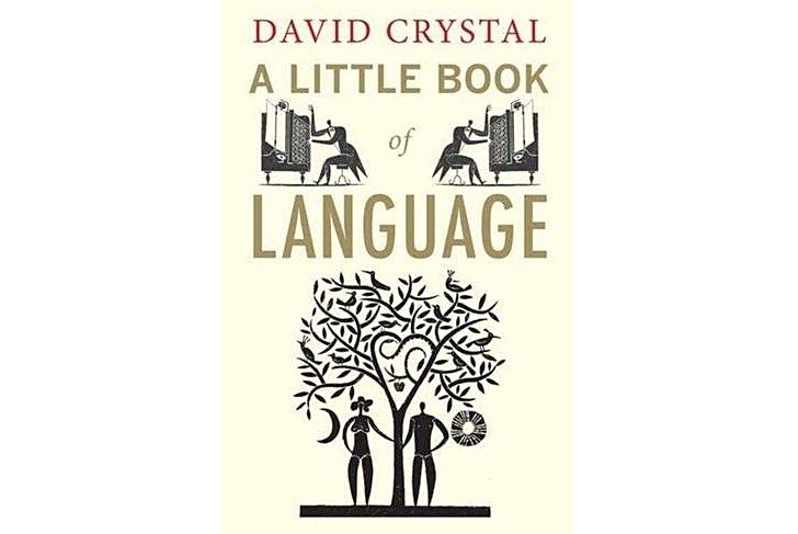 A Little Book of Language_科星球_百度百科