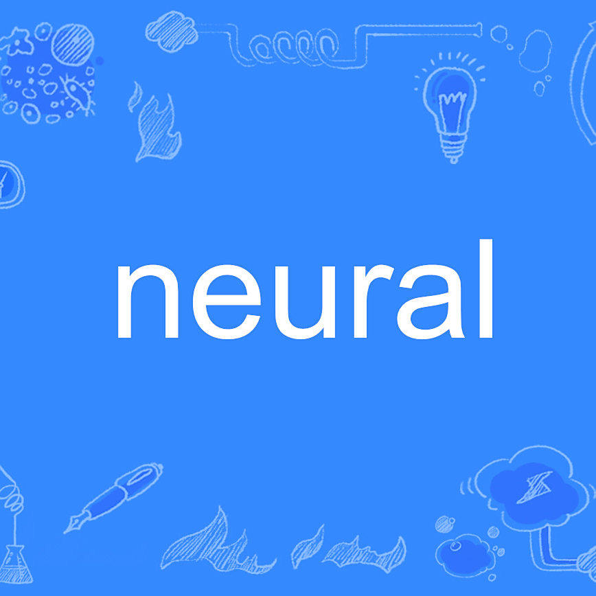 neural_百度百科