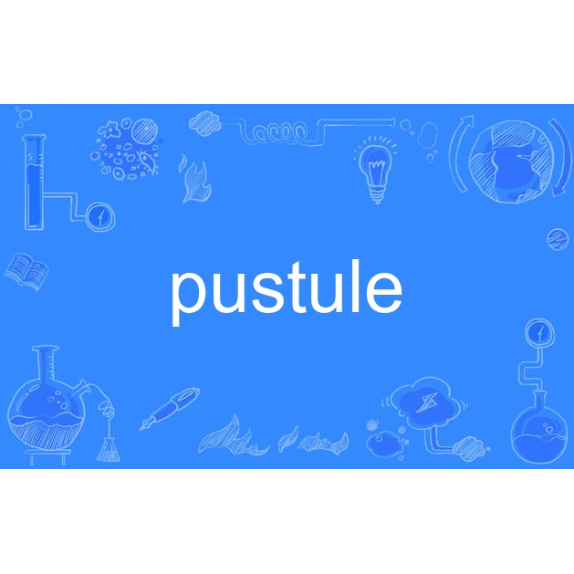 pustule_百度百科