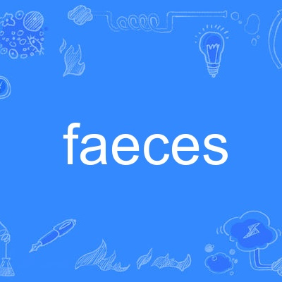faeces_百度百科