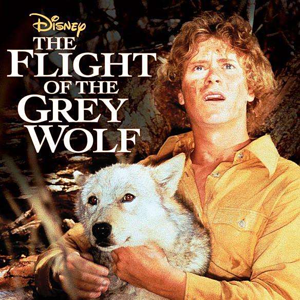 Joe Haworth_百度百科