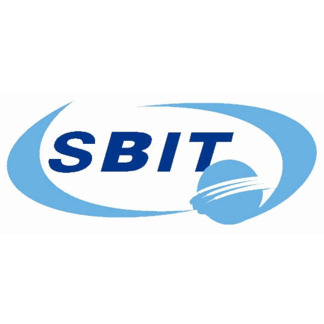 sbit_百度百科