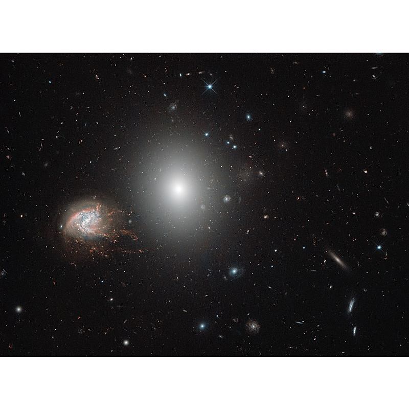 NGC 4860_百度百科