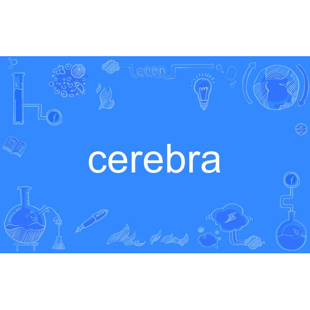 cerebra_百度百科