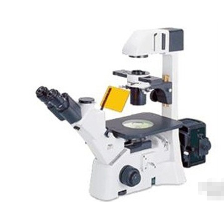 麦克奥迪AE31+荧光_百度百科