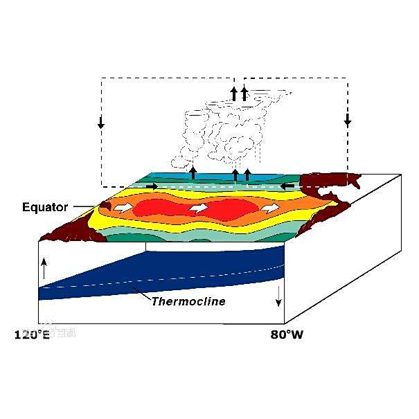 ENSO循环_百度百科