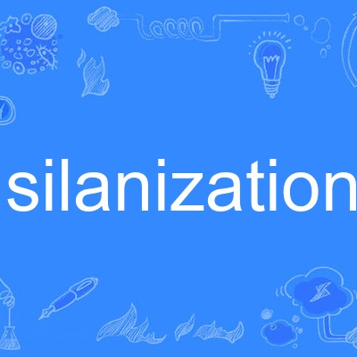 silanization_百度百科