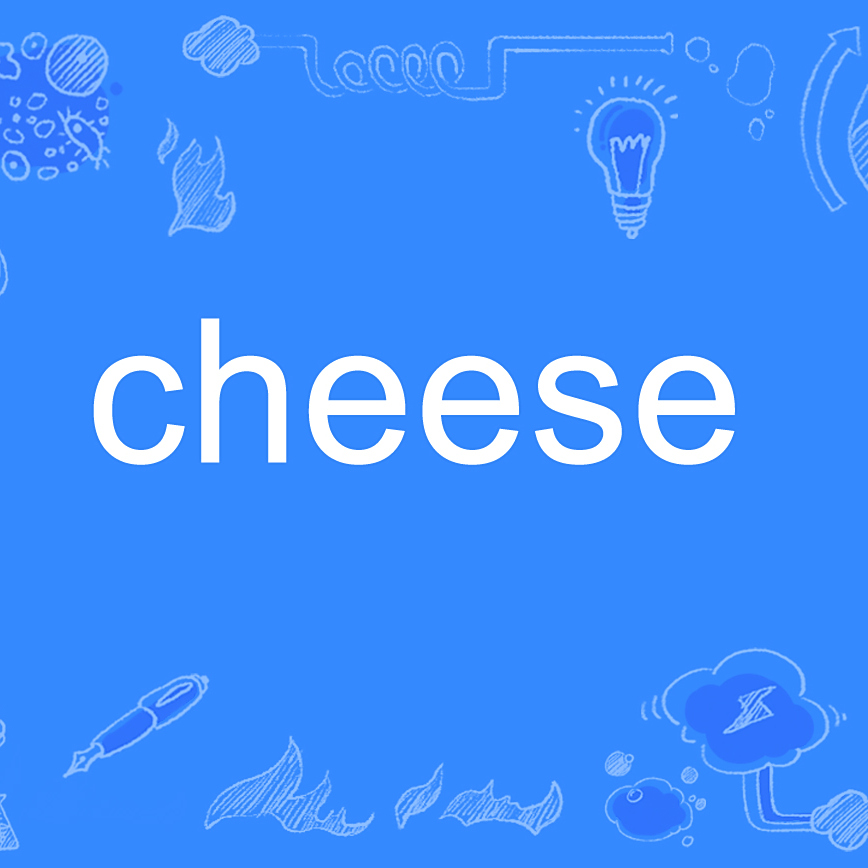 cheese（英文单词）_百度百科