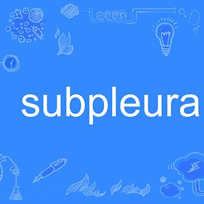 subpleural_百度百科
