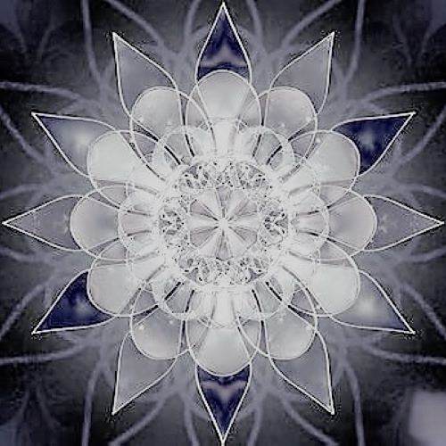 SCP-CN-1102_百度百科