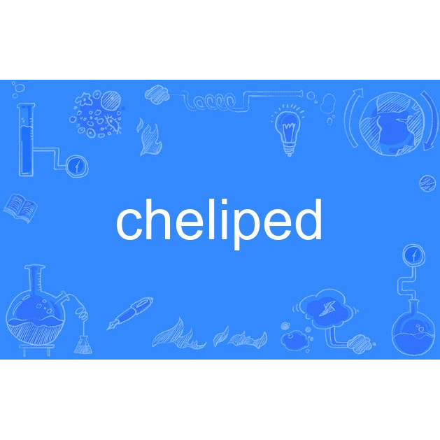 cheliped_百度百科