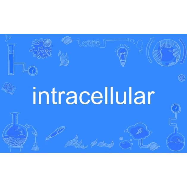 intracellular_百度百科