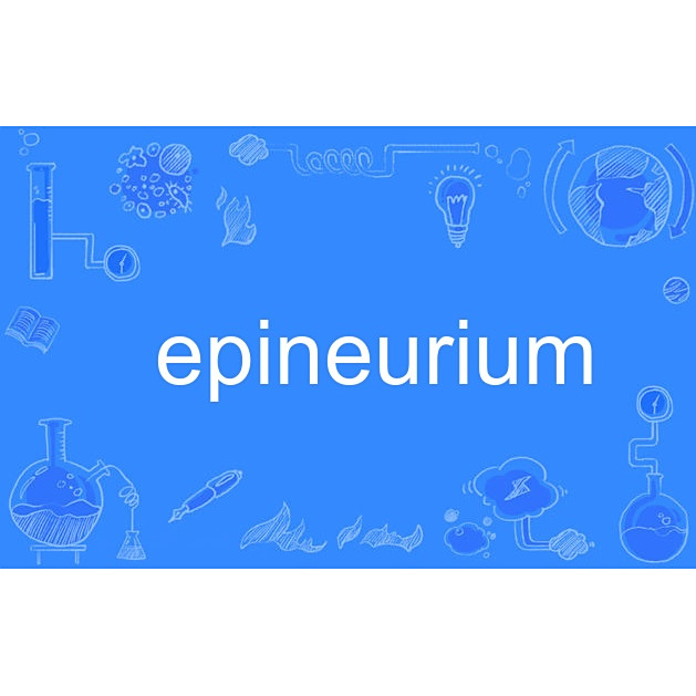 epineurium_百度百科