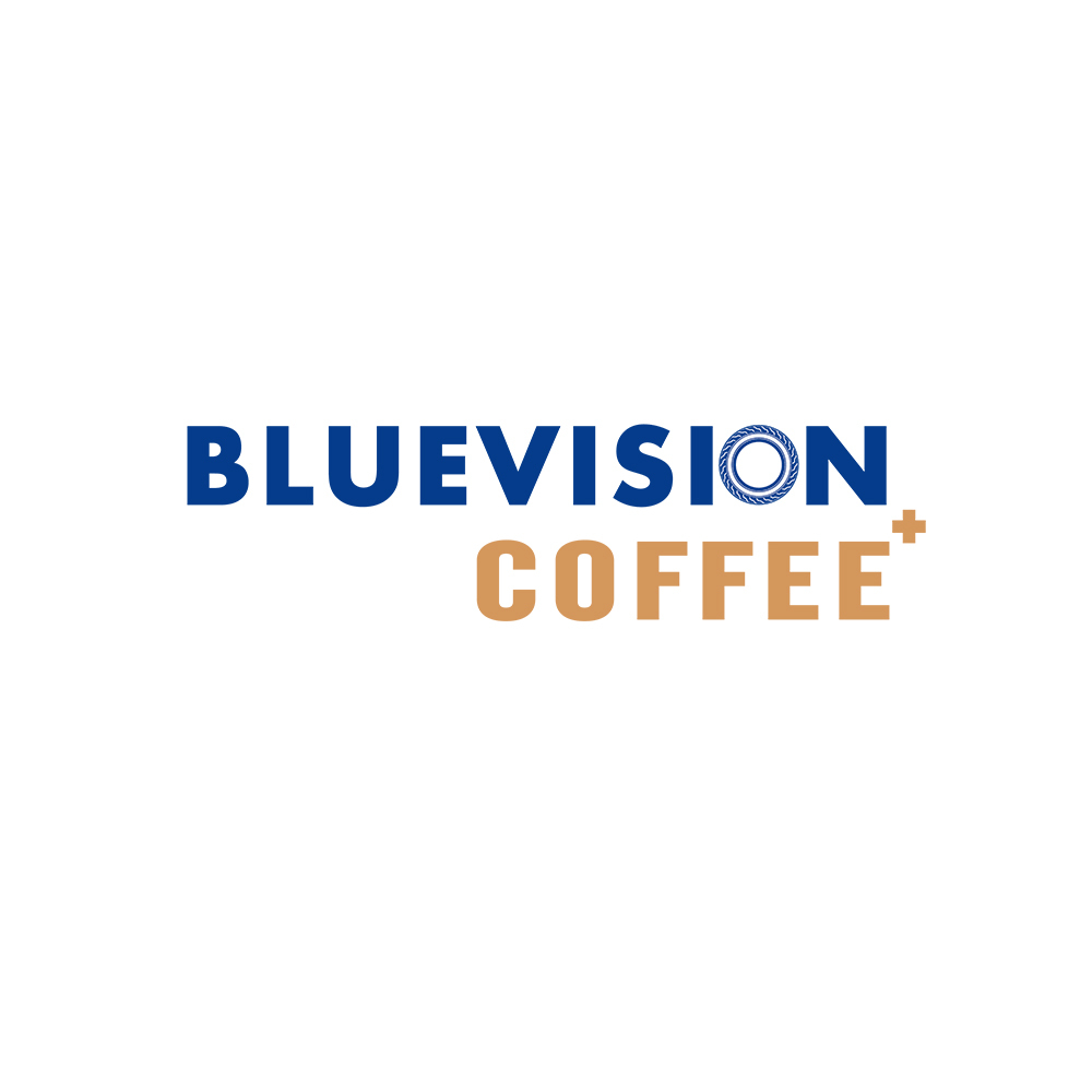 BlueVision_百度百科