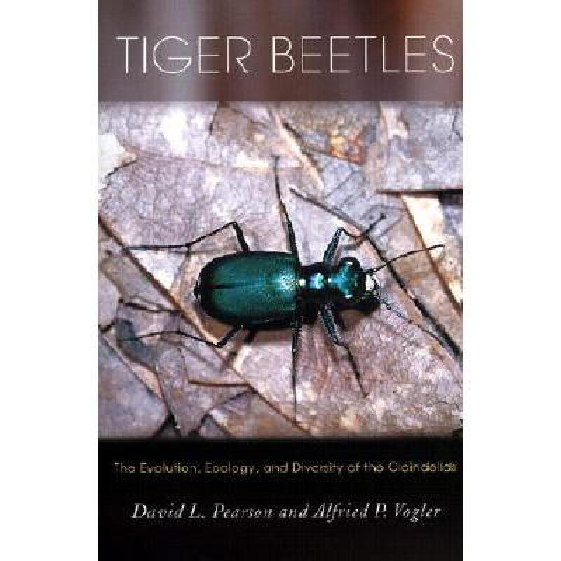 Tiger Beetles_百度百科