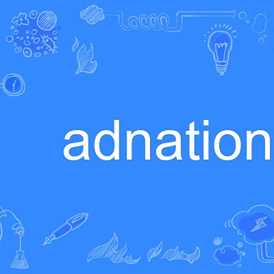 adnation_百度百科