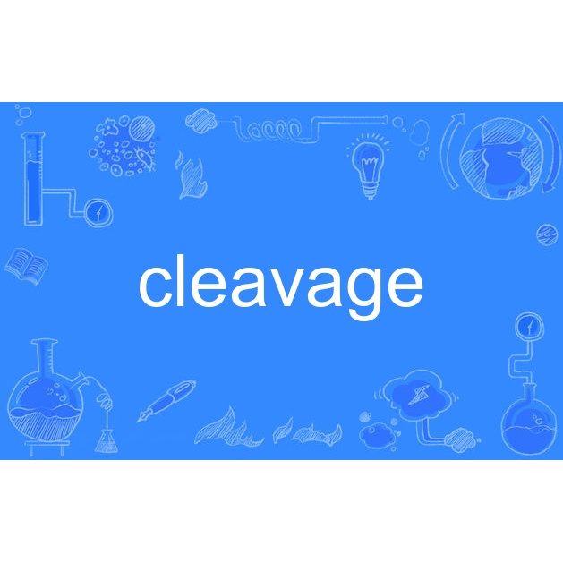 CLEAVAGE_百度百科