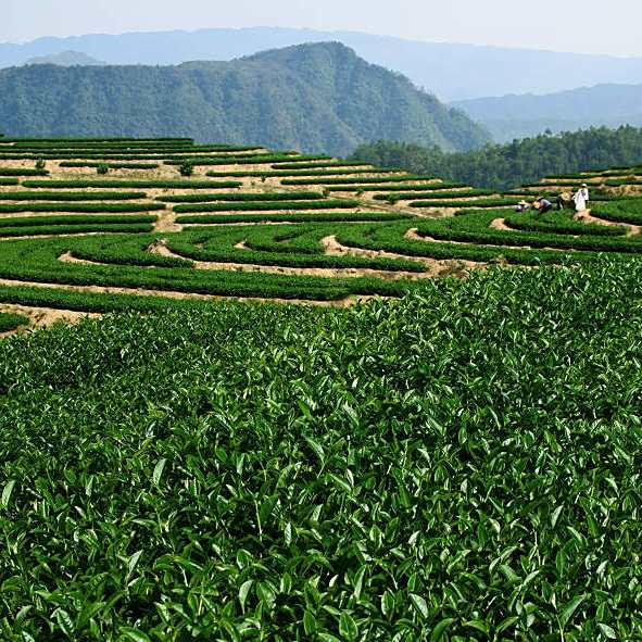 安頂山古道_百度百科