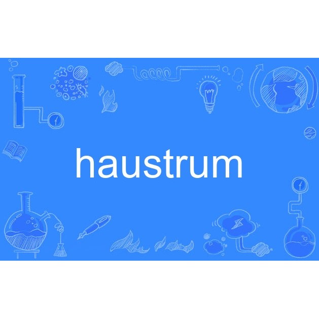 haustrum_百度百科
