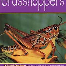 Grasshoppers（Coughlan, Cheryl著图书）_百度百科