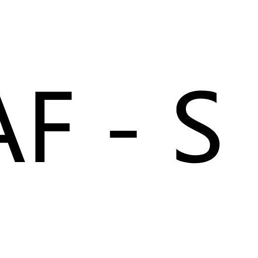 AF-S_百度百科
