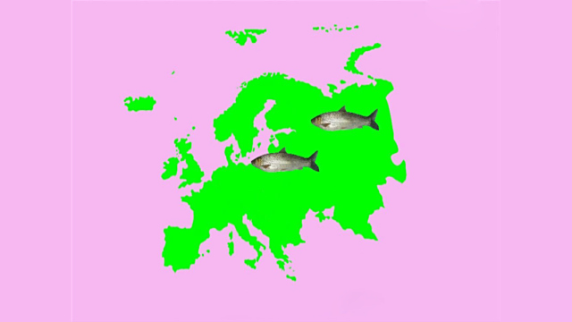 红眼鱼_百度百科