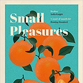 Small Pleasures : Longlisted for the Women's Prize for Fiction 2021_百度百科
