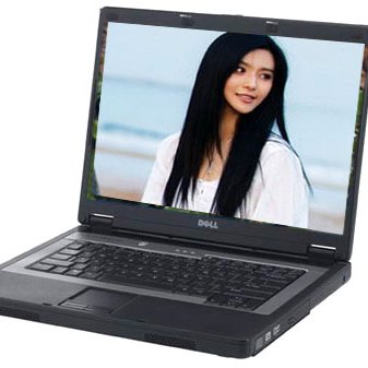 戴尔Inspiron 1300(N510601)_百度百科