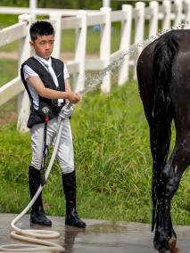 王者CASEYWANG_百度百科