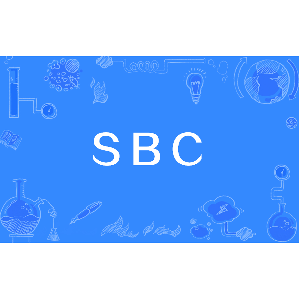 SBC（标准商业行为）_百度百科