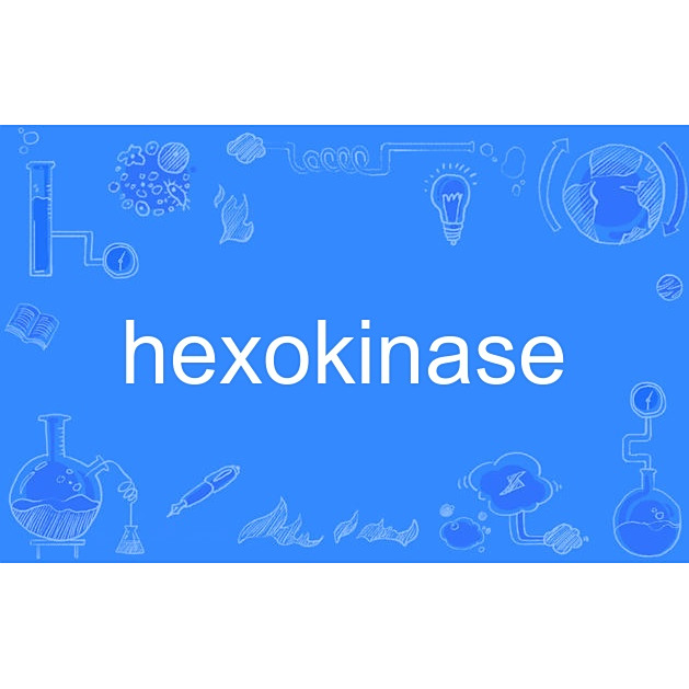 hexokinase_百度百科