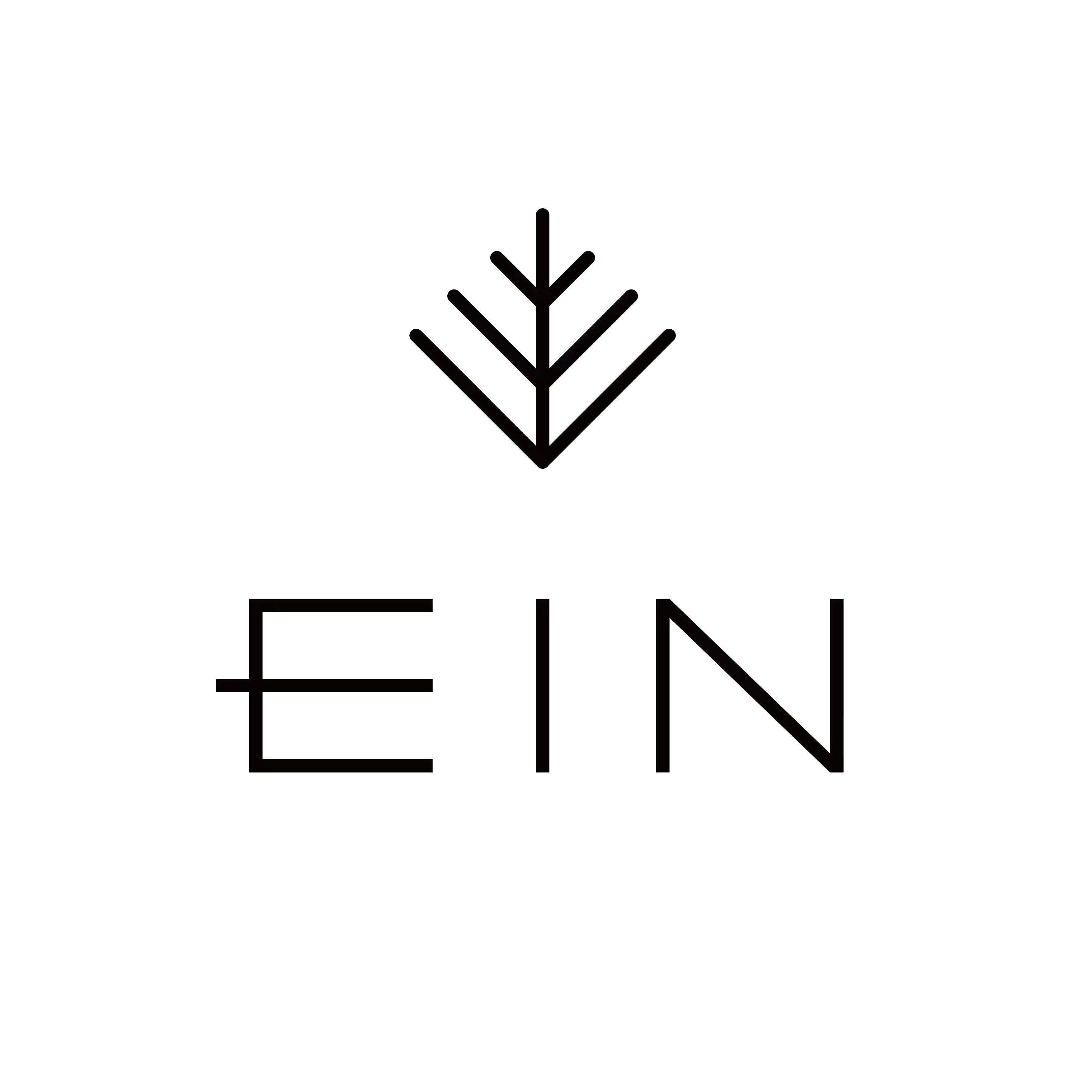 EIN_百度百科