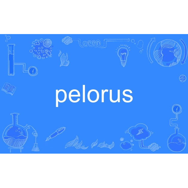 pelorus_百度百科