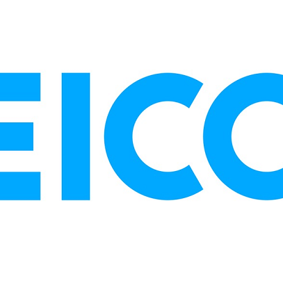 EICO_百度百科