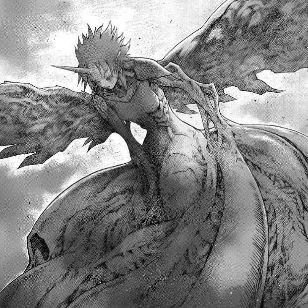 菲斯娜_百度百科