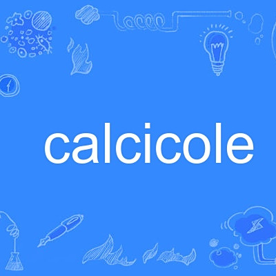 calcicole_百度百科